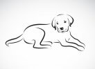 How to Draw Your Pet - My Animals