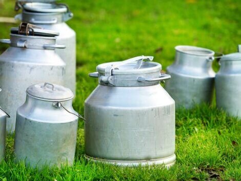 Types of Milk on the Market According to Their Processing - My Animals