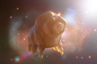 The Fascinating Process of the State of Cryptobiosis - My Animals
