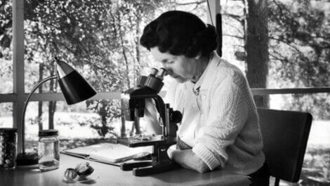 Rachel Carson: An Inspiration for Greta Thunberg? - My Animals
