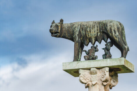 Discover Ancient Roman Animals - Animals - My Animals